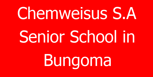 Chelebei Senior School in Bungoma - Newsblaze.co.ke
