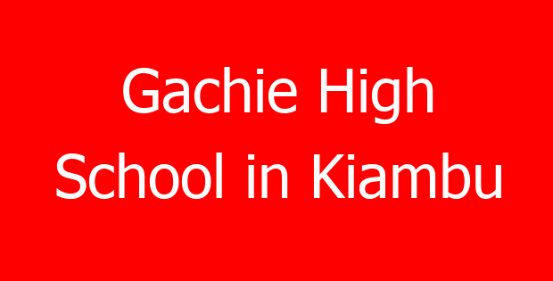 Gachie High School Archives - Newsblaze.co.ke