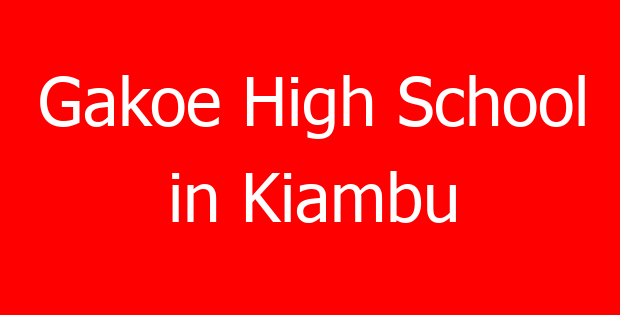 Gakoe High School Archives - Newsblaze.co.ke