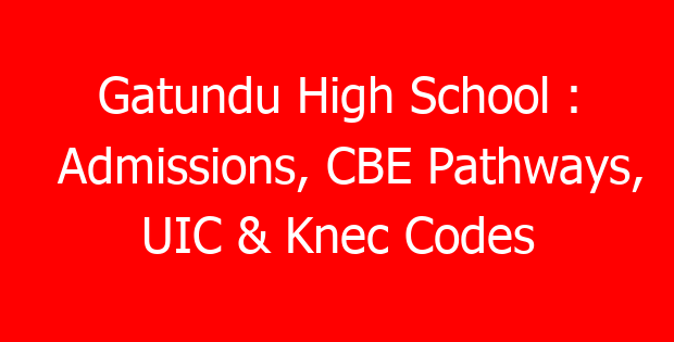 Gatundu High School Archives - Newsblaze.co.ke