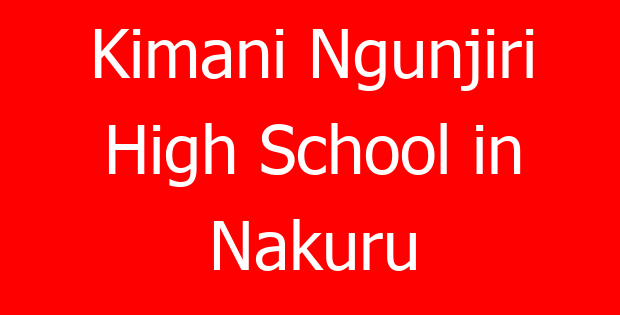 Kimani Ngunjiri High School in Nakuru - Newsblaze.co.ke