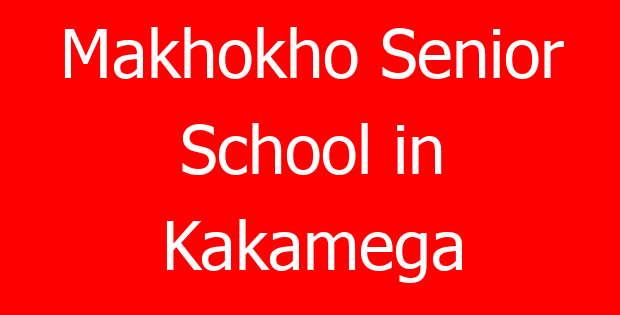 Makhokho Secondary School Archives - Newsblaze.co.ke