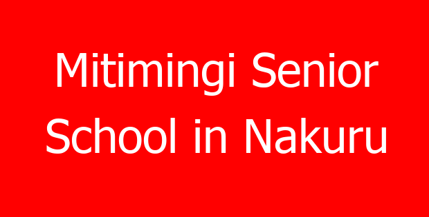 Mitimingi Senior School in Nakuru - Newsblaze.co.ke
