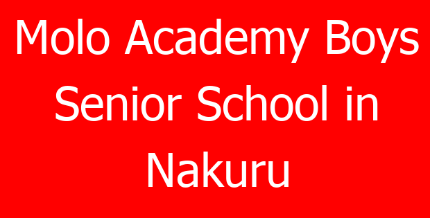 Molo Academy Boys Senior School in Nakuru - Newsblaze.co.ke