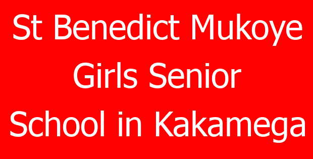 Shibembe Mixed Senior School in Kakamega - Newsblaze.co.ke