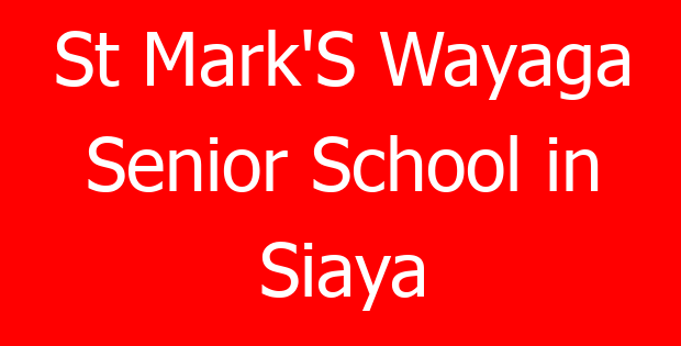 St Antony Pala Kobong Senior School in Siaya - Newsblaze.co.ke