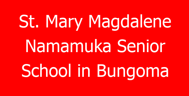 St. Mary Magdalene Namamuka Senior School in Bungoma - Newsblaze.co.ke